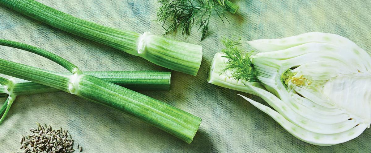 10 Things to Know About Fennel | RICARDO