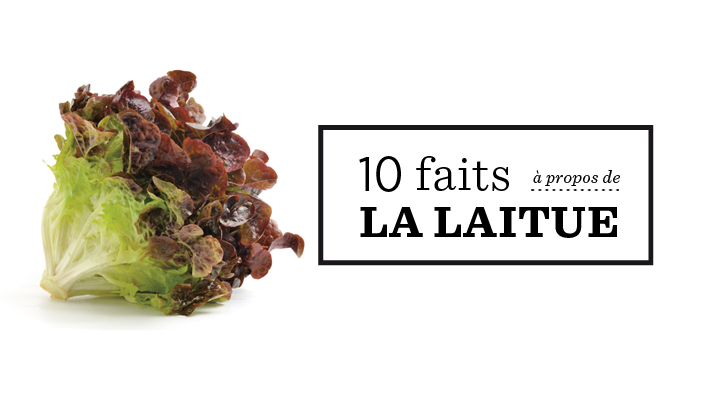 10 faits à propos de la laitue | RICARDO