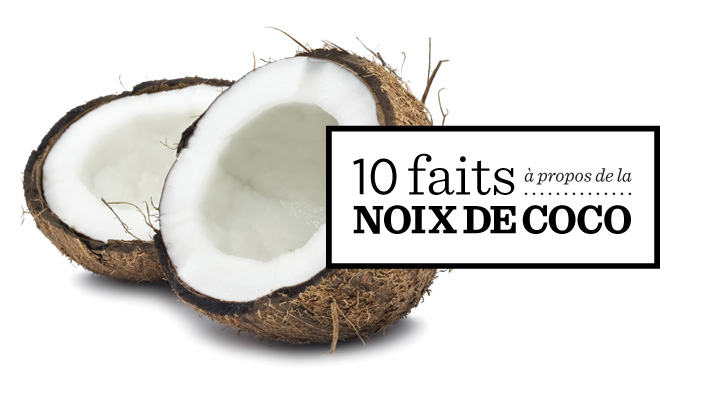 10 faits à propos de la noix de coco | RICARDO