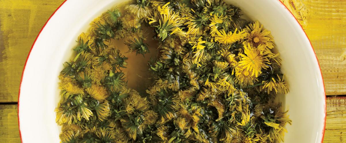 How to Cook Dandelions | RICARDO