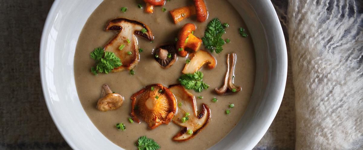 10 faits sur les champignons | RICARDO