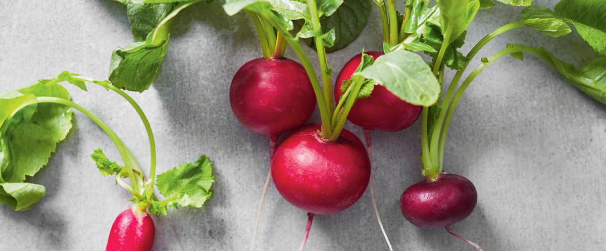 6 Recipes Starring the Radiant Radish | RICARDO