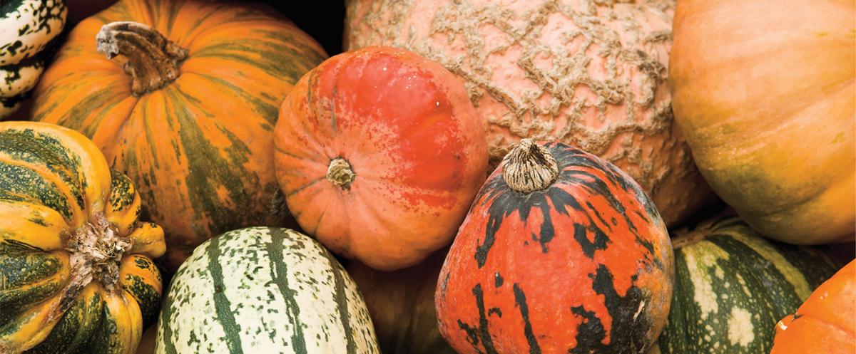 4 Ways To Use Leftover Pumpkin | RICARDO