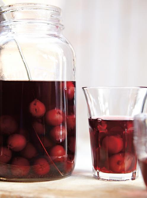 Cherry Liqueur (Ginjinha) | RICARDO