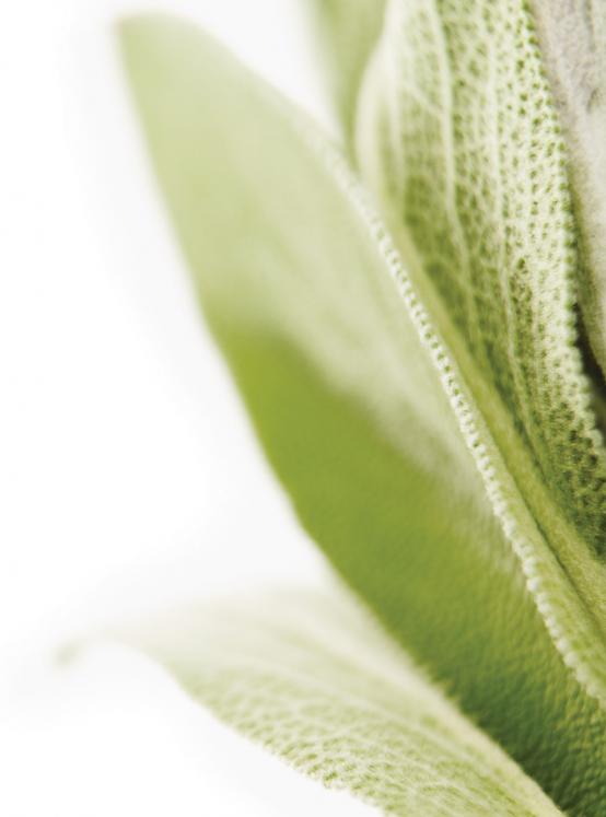 Poulet rôti aux herbes | RICARDO