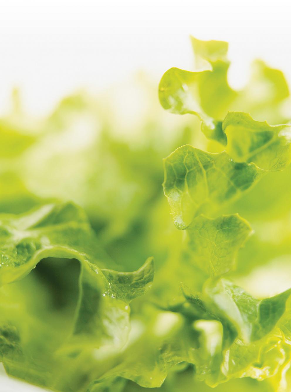 Salade verte et vinaigrette à la mélasse | RICARDO