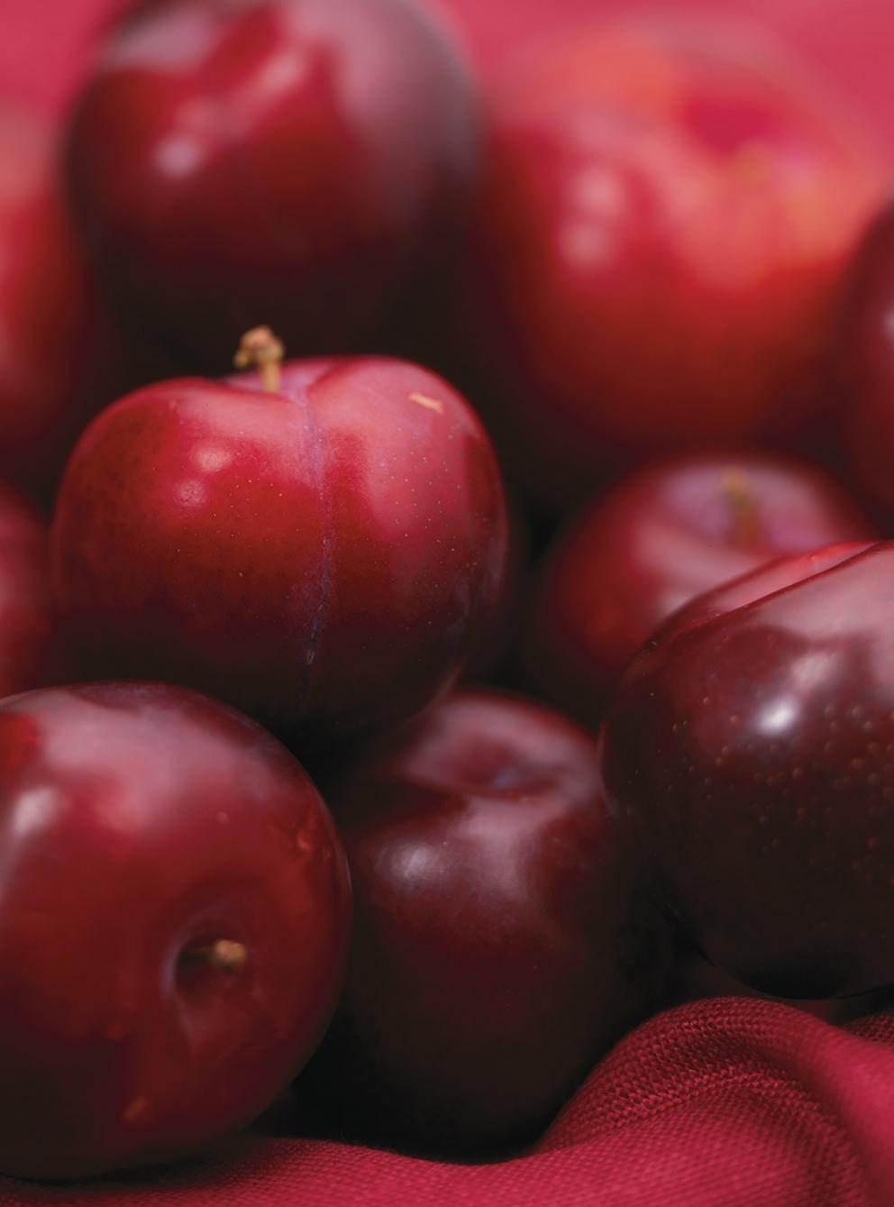 Salade de prunes rouges au miel et au romarin | RICARDO