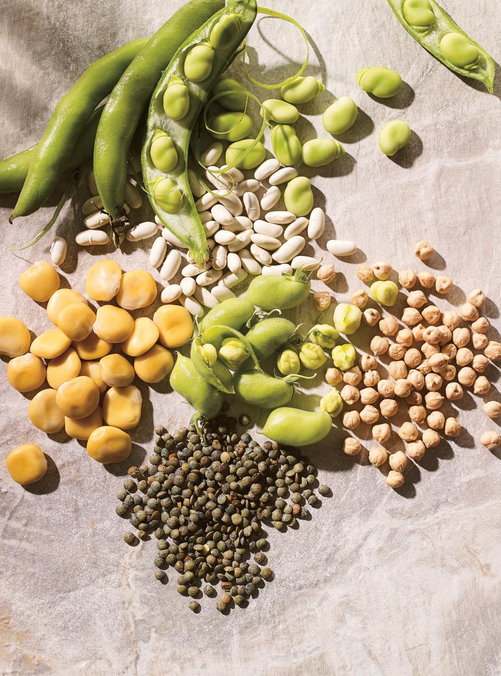 Haricots blancs | RICARDO