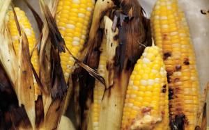 Burgers au poulet barbecue | RICARDO