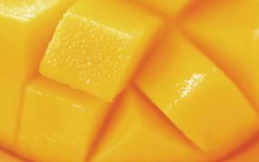 Mango Squares | RICARDO